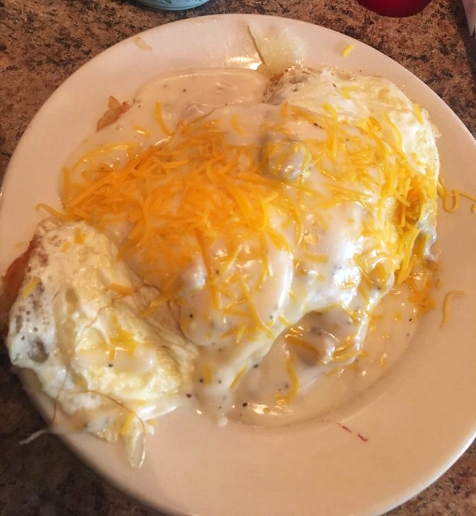Cheese blankets eggs like a warm Ohio morning, promising that whatever awaits you today, at least breakfast was perfect.