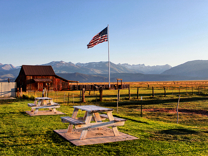 Nothing says "authentic Western experience" quite like picnic tables facing mountain vistas that make your smartphone camera weep with inadequacy.