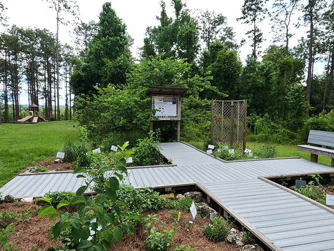 A butterfly garden that's part science class, part meditation space. Nature's version of a spa day, minus the awkward small talk.