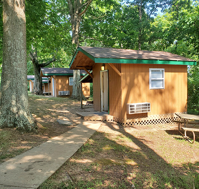 These cozy cabins prove that "roughing it" can still include walls, a roof, and actual beds.