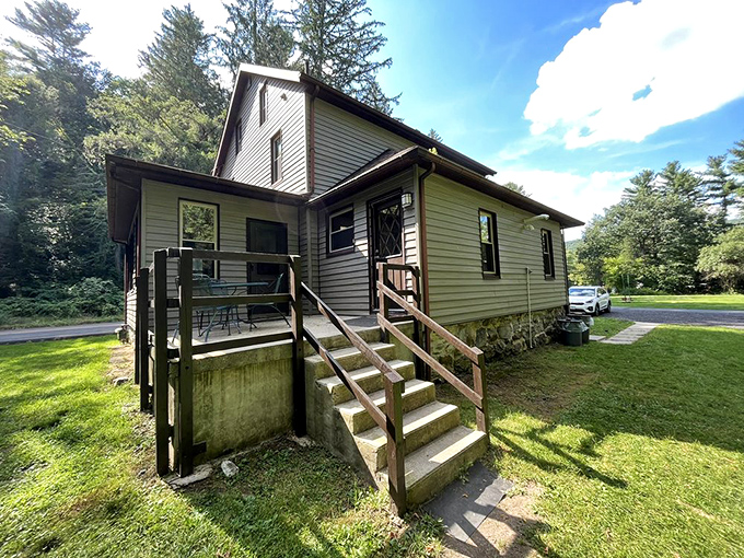 Modern comfort meets forest charm in accommodations that won't make your back hate you tomorrow.