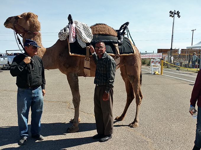 Not your average Uber! Desert transportation takes on a whole new meaning during Boron's community celebrations.