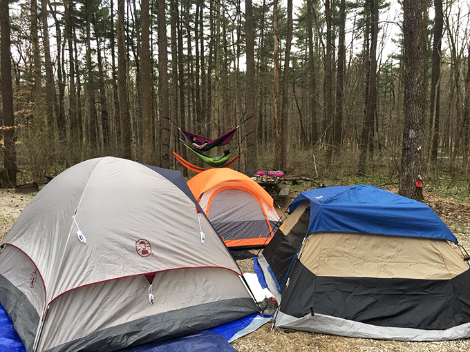 Camping nirvana achieved. These colorful tents nestled among towering pines prove that the best five-star accommodations sometimes have no roof at all.
