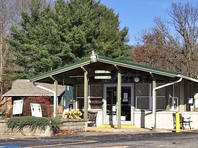 The park's check-in station welcomes visitors like an old friend, promising adventures that no smartphone notification can match.