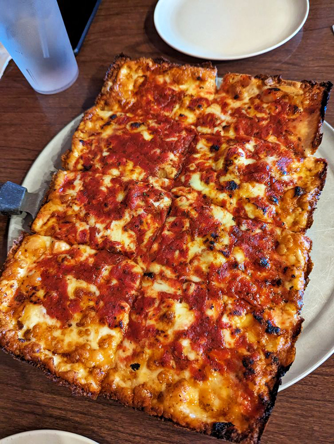 Detroit-style pizza perfection: crispy, caramelized cheese edges frame a canvas of tangy sauce and molten cheese that would make any Neapolitan jealous.