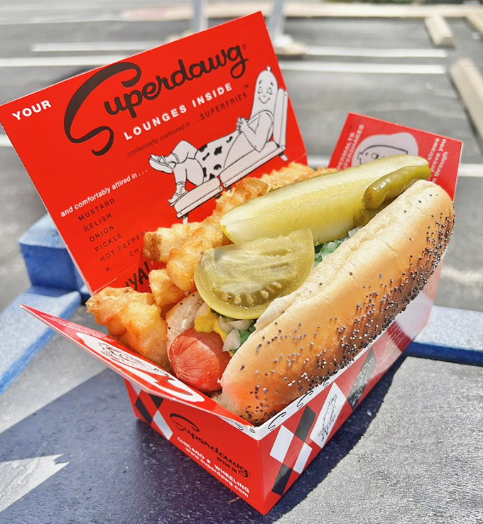 The Superdawg arrives like royalty in its own little throne box, dressed with all the Chicago essentials and that signature green pickle spear standing at attention.