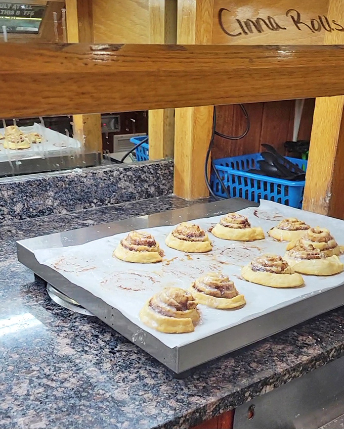Cinnamon rolls waiting for their final destination—your plate. These spiral-shaped happiness bombs are what diet plans fear most.