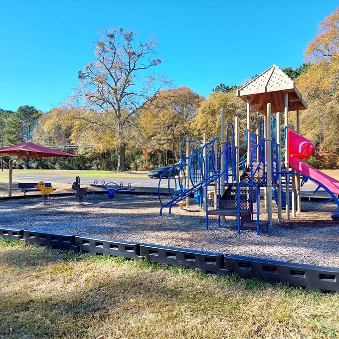Even the playground equipment in Madison has Southern hospitality, inviting little ones to slide and climb while parents enjoy shade that feels like nature's air conditioning.