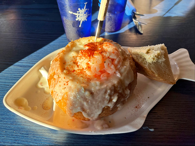 Bread bowls: nature's edible dishware and the perfect vessel for creamy chowder. That sprinkle of paprika on top? The culinary equivalent of a cherry on a sundae.