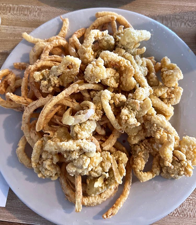 Golden-fried clam strips piled high, each one crispier than a Florida morning and twice as satisfying.
