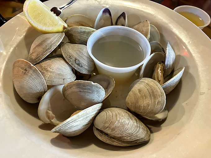 These steamed clams arrive like treasures from the deep, surrounded by their own natural broth and begging for a squeeze of that lemon.