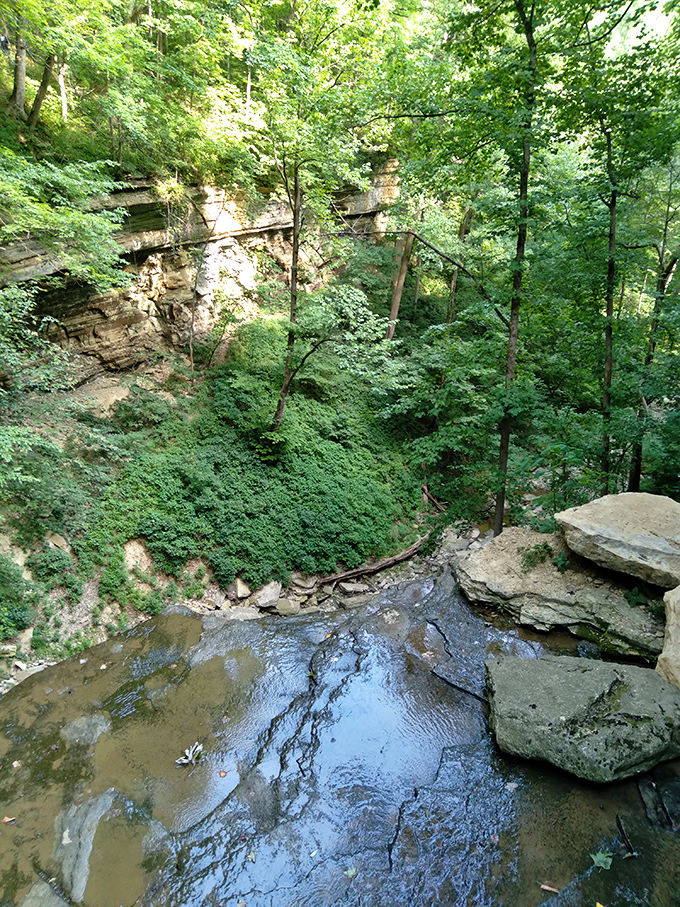 Nature doesn't charge admission at Clifty Falls State Park. These limestone canyons and bubbling streams offer million-dollar views on a public park budget.
