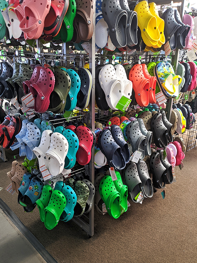 A rainbow explosion of Crocs&mdash;where comfort meets controversy in every imaginable color of the footwear spectrum.