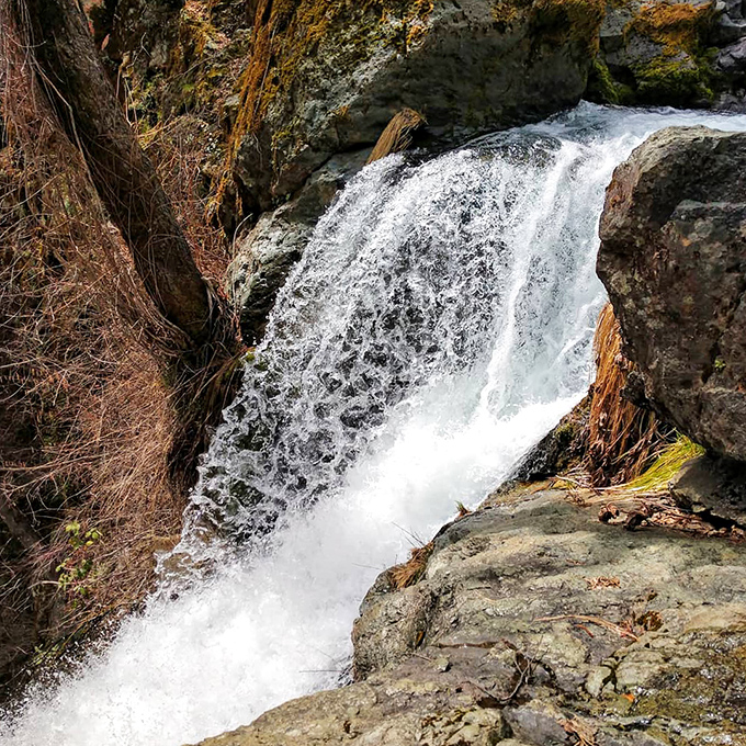 Water meets rock in a centuries-old dance. This isn't just a waterfall; it's nature's most reliable stress management program.