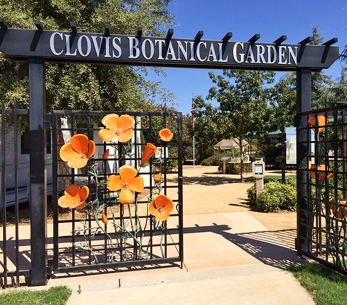 California poppies greet visitors at the Clovis Botanical Garden, where drought-tolerant plants prove that water conservation can still be gorgeous.