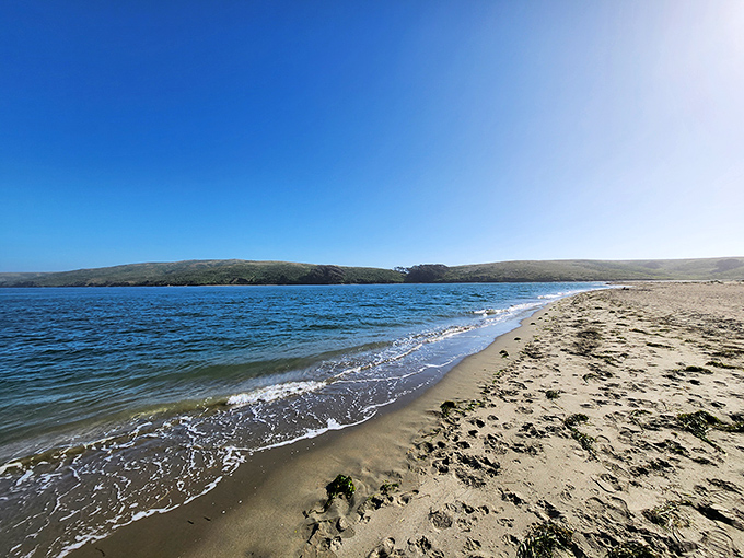 Mother Nature showing off again&mdash;pristine shoreline stretching toward the horizon like she's auditioning for a California tourism commercial.