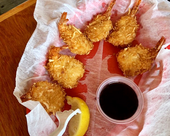 Golden coconut shrimp that crunch like autumn leaves, served with a dipping sauce dark and mysterious as the Atlantic at midnight.