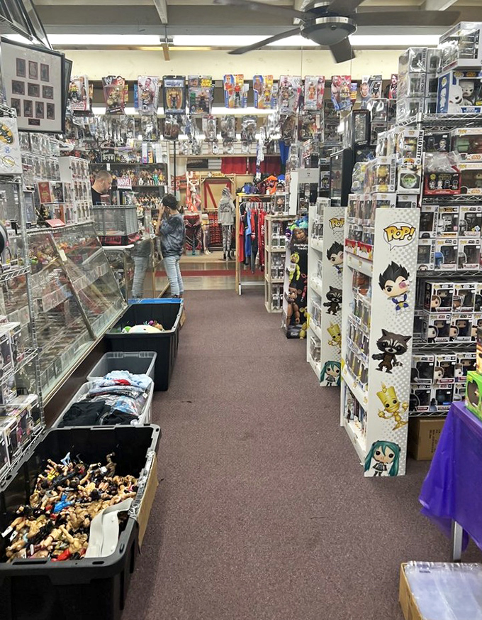 Pop culture paradise! Where else can you find Funko Pops, action figures, and collectibles that transform adults into kids faster than a time machine?