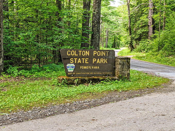 Colton Point State Park welcomes visitors with rustic charm. This entrance sign promises adventures that won't drain your retirement fund.