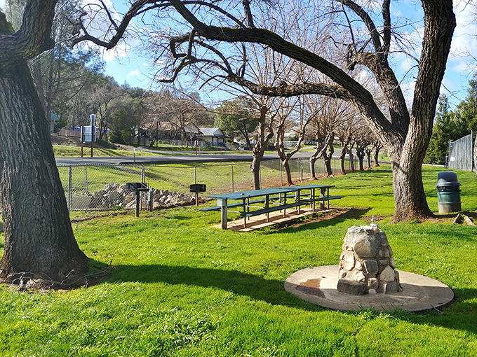 A slice of tranquility where park benches invite contemplation under ancient oaks. Nature's therapy session without the hourly rate.