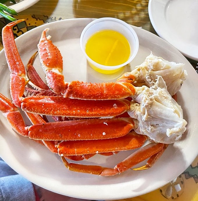 Snow crab legs arranged like nature's perfect puzzle &ndash; crack, dip, savor, repeat until your bib resembles a Jackson Pollock painting.