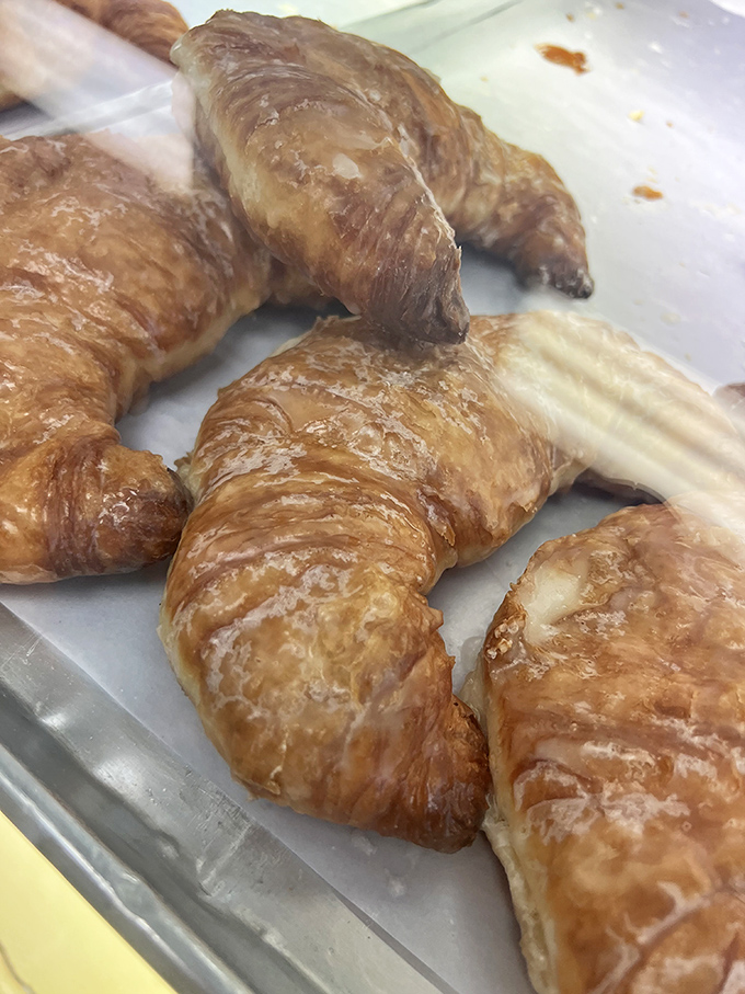 Behold the star of our show! These golden beauties have caused more morning detours than any Allentown road construction project ever could.