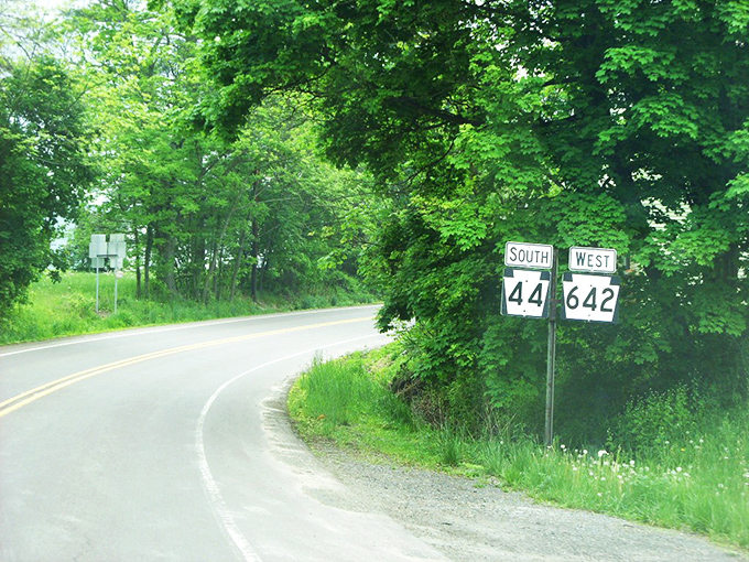 Where Route 44 and Route 642 meet—a crossroads of possibilities. One road leads to adventure, the other to more adventure.