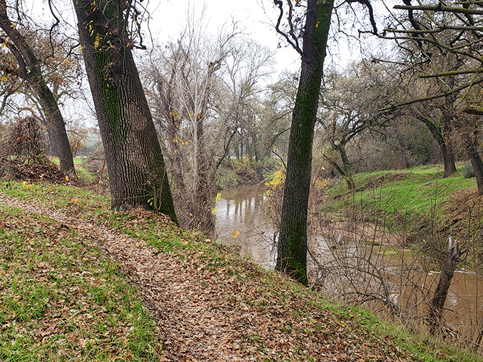 Dry Creek Trail provides tranquil riverside strolls where the only thing that might get elevated is your mood, not your blood pressure or housing costs.