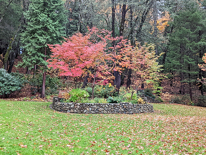 Fall paints the Dunsmuir Botanical Gardens in a palette that would make Bob Ross weep with joy. Nature's showing off again!