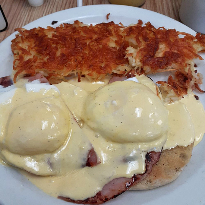 Behold the golden masterpiece: perfectly poached eggs cascading over Canadian bacon like breakfast poetry in motion.