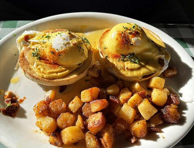 Eggs Benedict perfection: two golden-domed poached eggs perched atop English muffins, blanketed in hollandaise that glistens like Moab's morning sun. Those potatoes deserve their own fan club.