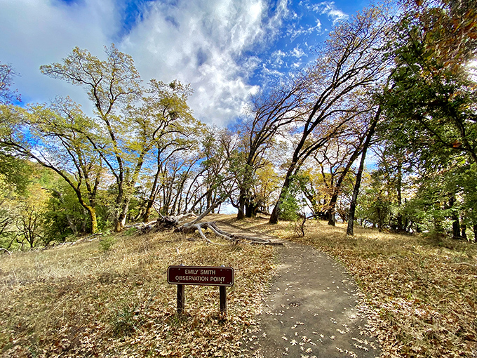 Emily Smith knew what she was doing. This observation point offers the kind of views that make smartphone cameras feel woefully inadequate.