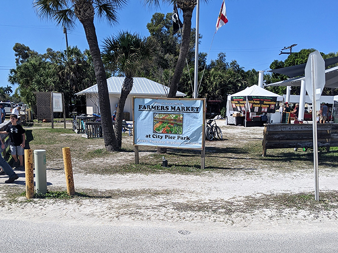 The Farmers Market at City Pier Park &ndash; where "grocery shopping" transforms into a social event worthy of your vacation photo album.