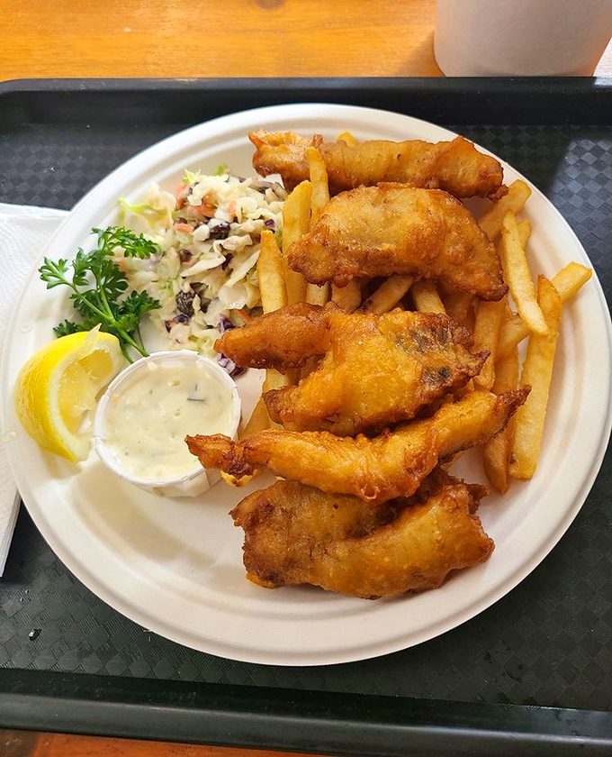 Golden armor protecting flaky white treasure&mdash;this is what happens when fish achieve their final form.