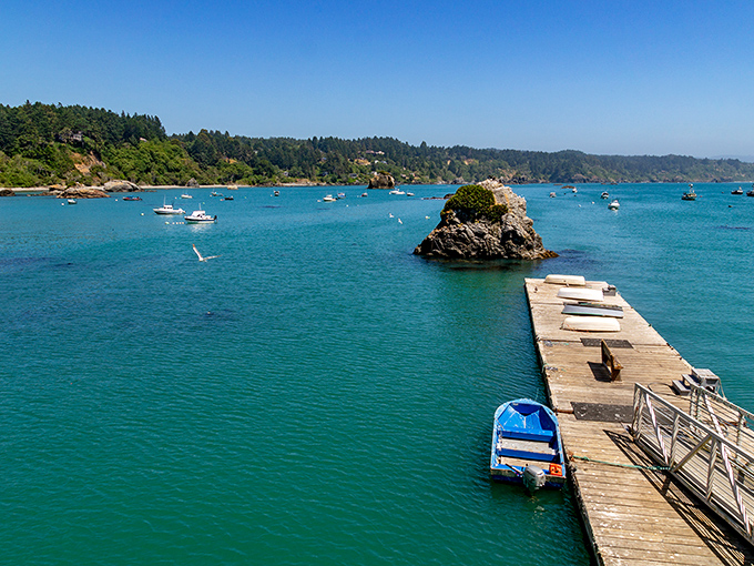 Trinidad's harbor sparkles like liquid turquoise on sunny days, with fishing boats bobbing gently as if they're nodding in approval at your vacation choice. 