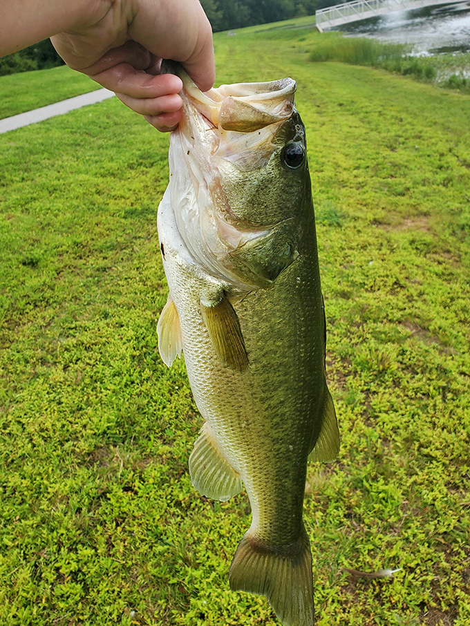Nothing says "retirement freedom" quite like a Tuesday morning fishing trip when everyone else is stuck in rush hour traffic.