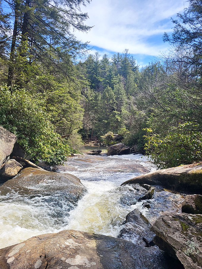 Sunlight dapples across these ancient rocks, creating nature's version of a spa retreat. No reservation or overpriced robe required.