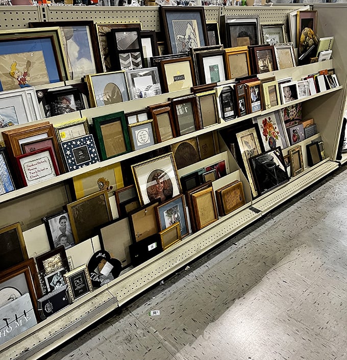 Frame by frame, a gallery of possibilities unfolds. Someone's discarded memories become your new conversation pieces at astonishing prices.