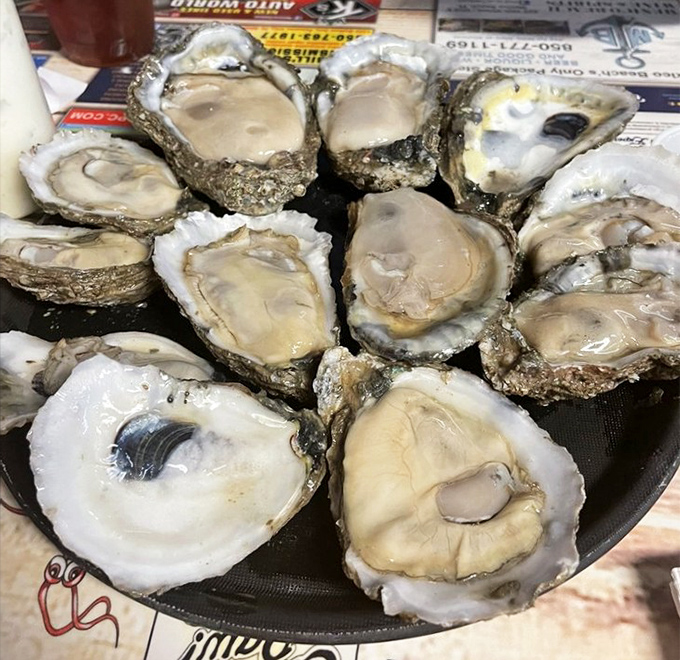 These aren't just oysters&mdash;they're time machines to the moment they were plucked from Apalachicola Bay. Minimal garnish, maximum flavor.