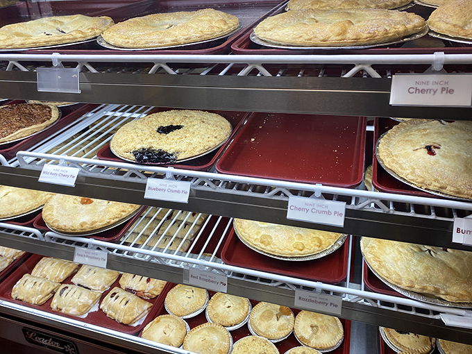 Pie geometry at its finest—golden lattice tops, crimped edges, and bubbling fruit fillings create an edible art gallery that makes mathematicians and food lovers equally giddy.