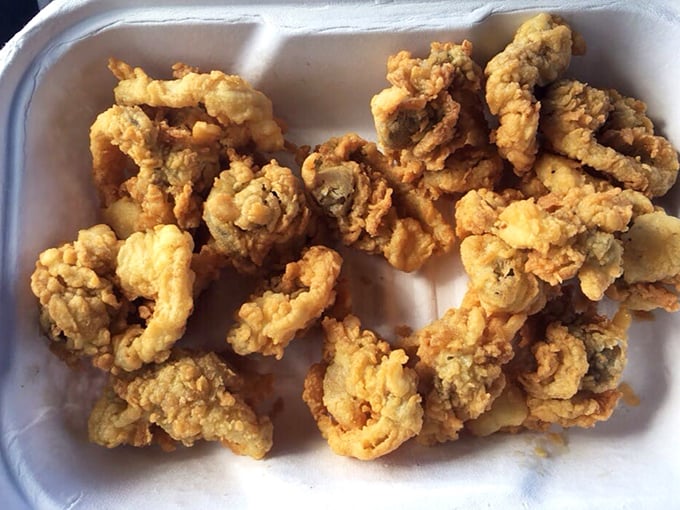 These whole-belly Ipswich clams aren't just fried—they're transformed into crispy, briny morsels of oceanic bliss. New England's greatest gift to seafood lovers.