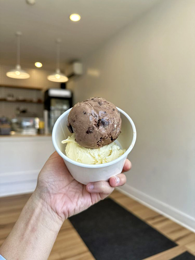 Two scoops, infinite joy. The chocolate's so dark and brooding it could star in its own detective series, while vanilla plays the perfect supporting role. 