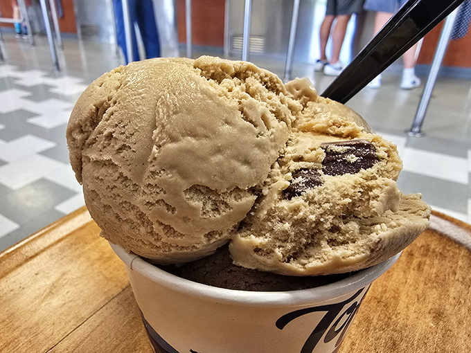 This coffee-flecked masterpiece isn't just ice cream; it's edible architecture with structural integrity that would impress Frank Lloyd Wright.