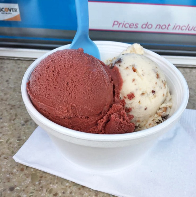 Two perfect scoops nestled together like old friends catching up&mdash;one rich chocolate, one vanilla speckled with delightful surprises.