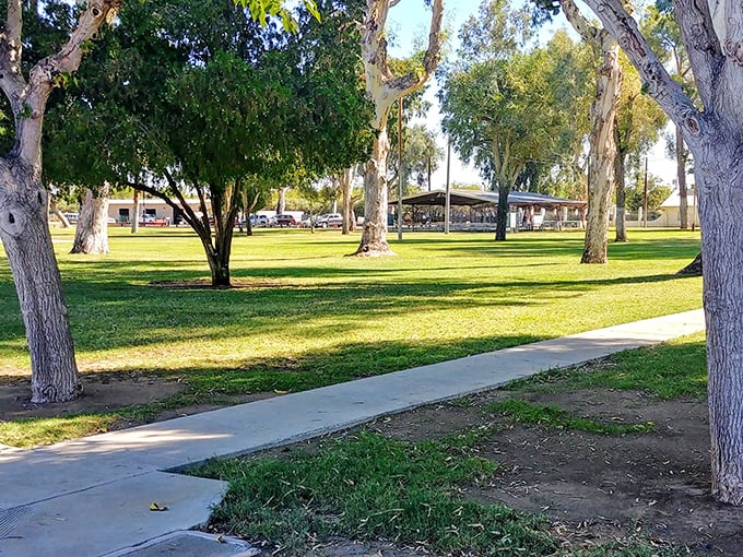 George E Olsen Memorial Park offers shaded pathways and green space&mdash;nature's air conditioning in a town where your utility bills won't cause heart palpitations.
