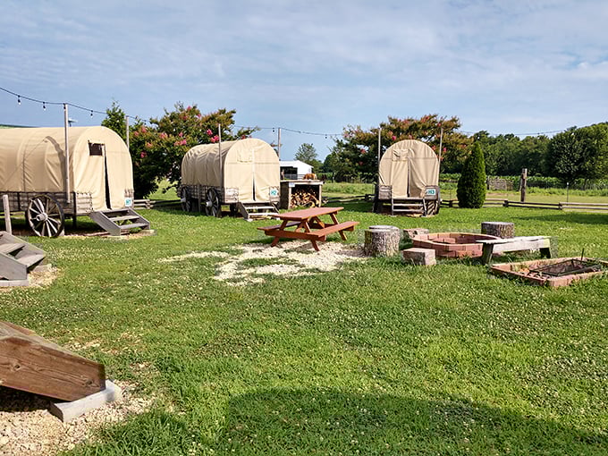 Covered wagons reimagined for overnight guests&mdash;glamping that lets you experience pioneer life but with actual mattresses. Your Oregon Trail party won't die of dysentery here.