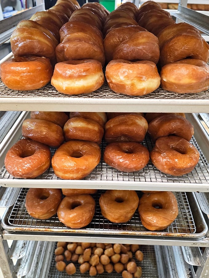 These glazed donuts aren't just breakfast &ndash; they're an argument for getting out of bed in the morning, lined up like golden soldiers of satisfaction.