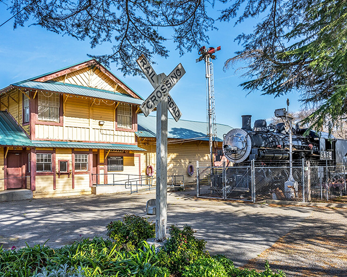 All aboard nostalgia! The historic train display at Glenn County Fairgrounds offers a glimpse into Orland's railroad past, when steam engines connected rural California to the world. 