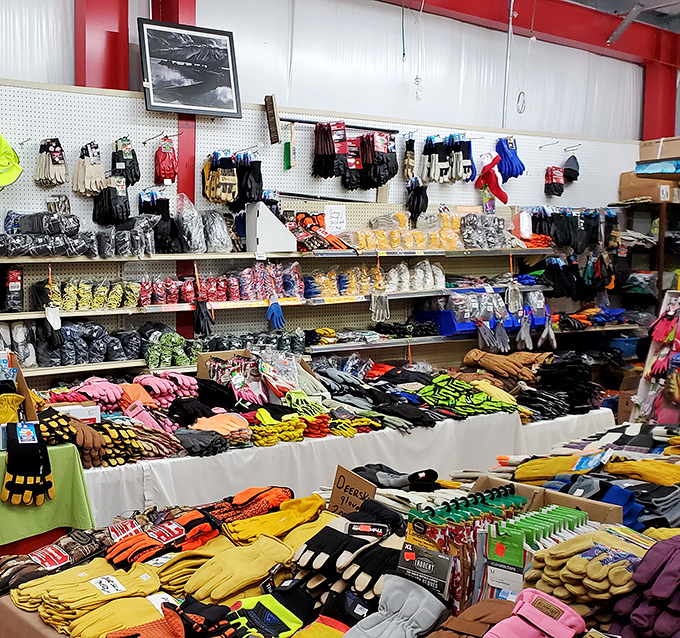 Work gloves in every color of the rainbow! Because even your hands deserve to make a fashion statement while you're fixing that leaky faucet.