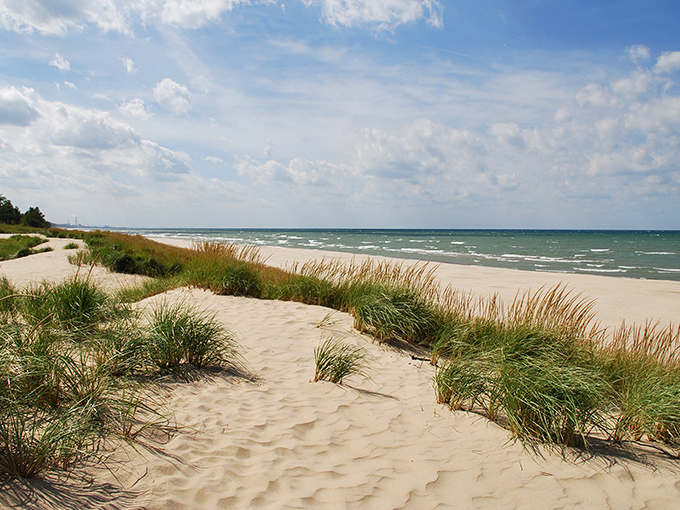 The dune grasses stand guard like nature's velvet rope, protecting Indiana's hidden coastal treasure from the inland world.